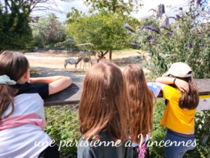 journée au zoo : on vous emmène au Zoo de VIncennes